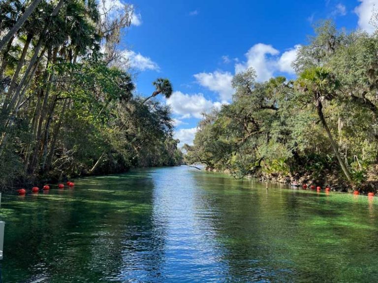 16 Most Beautiful Freshwater Springs in Florida - The Tourist Checklist