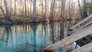 16 Most Beautiful Freshwater Springs in Florida - The Tourist Checklist