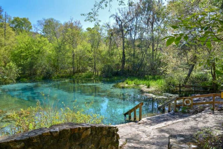 16 Most Beautiful Freshwater Springs in Florida - The Tourist Checklist