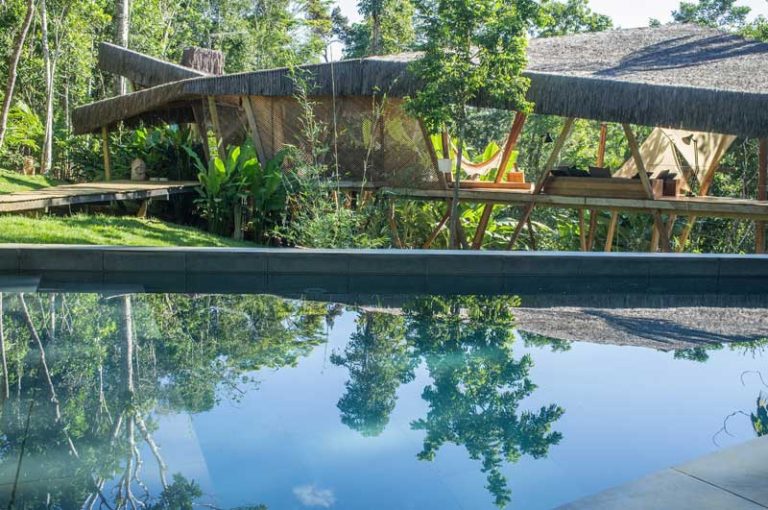 30 Best Tree House Hotels in the World - The Tourist Checklist