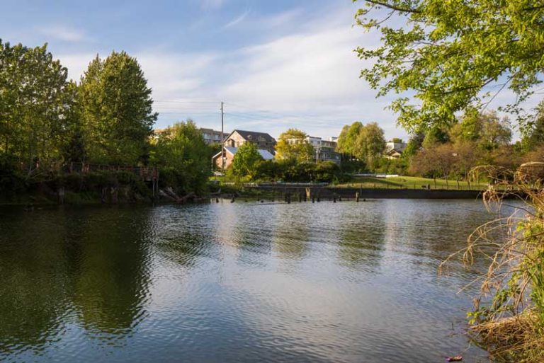 15 Best Parks in Bellingham, WA - The Tourist Checklist
