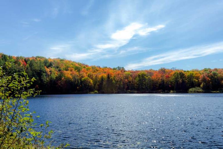 Inside Muskoka — a Beautiful Canadian Destination Known As the ...
