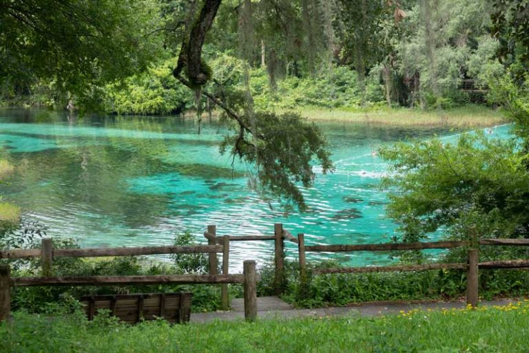 16 Most Beautiful Freshwater Springs in Florida - The Tourist Checklist