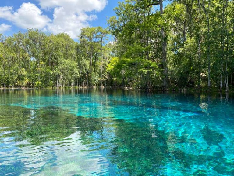 16 Most Beautiful Freshwater Springs in Florida - The Tourist Checklist