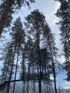 30 Best Tree House Hotels in the World - The Tourist Checklist