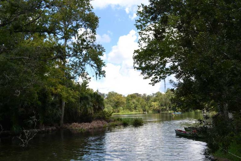 16 Most Beautiful Freshwater Springs in Florida - The Tourist Checklist