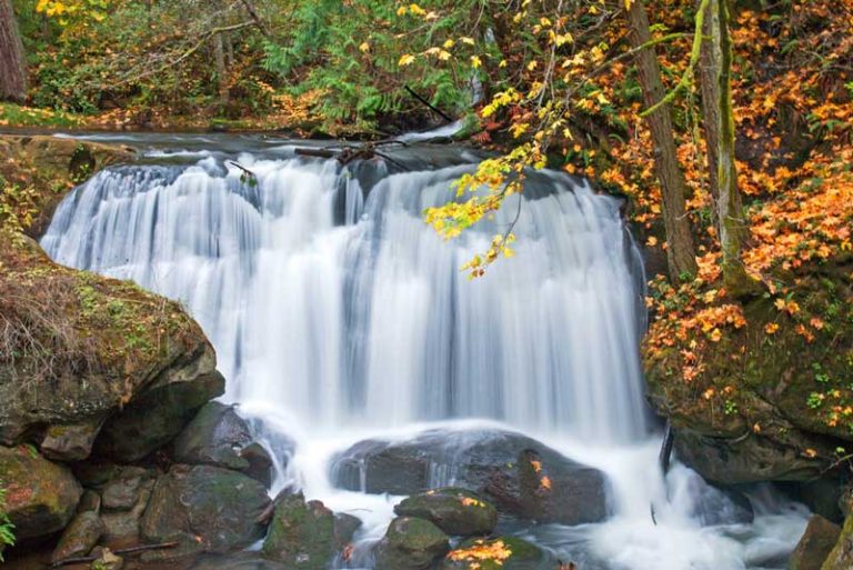 15 Best Parks in Bellingham, WA - The Tourist Checklist