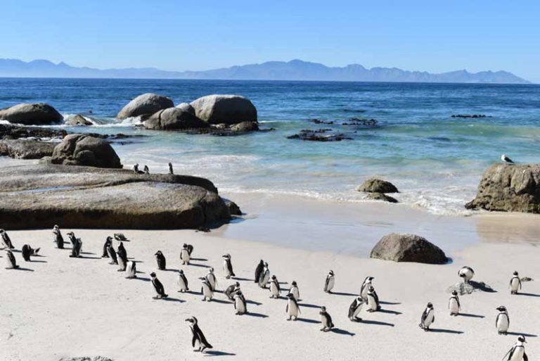 15 Stunning White-sand Beaches Around the World - The Tourist Checklist