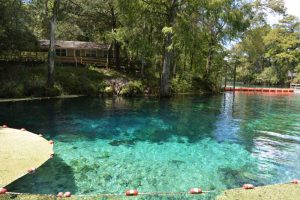 16 Most Beautiful Freshwater Springs in Florida - The Tourist Checklist