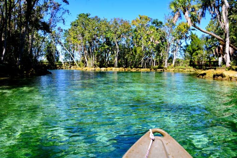16 Most Beautiful Freshwater Springs in Florida - The Tourist Checklist