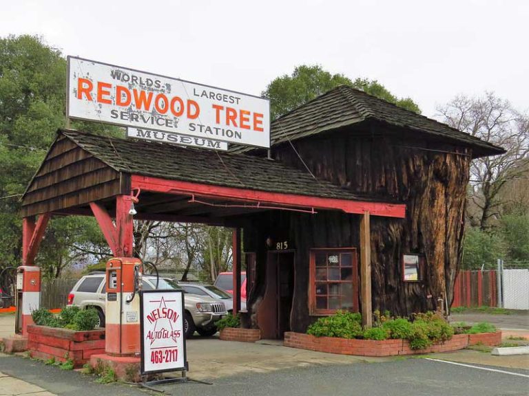 23 Best & Fun Things to Do in Ukiah (CA) - The Tourist Checklist