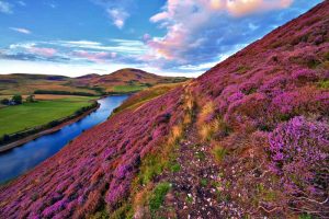 The Best Times to Visit Scotland for Good Weather, Fewer Crowds, and ...