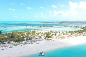 Best Time to Visit Turks and Caicos - The Tourist Checklist