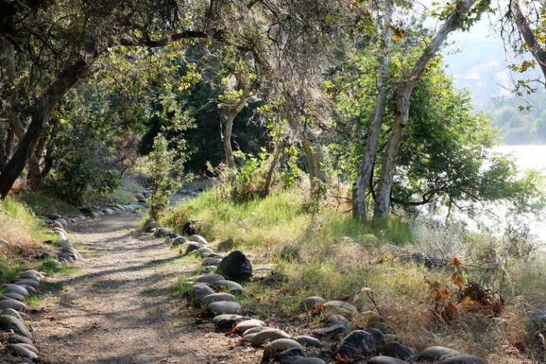 15 Best Things To Do in Madera, CA - The Tourist Checklist