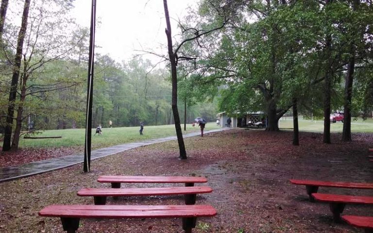 15 Best Things To Do in Hartwell, GA - The Tourist Checklist