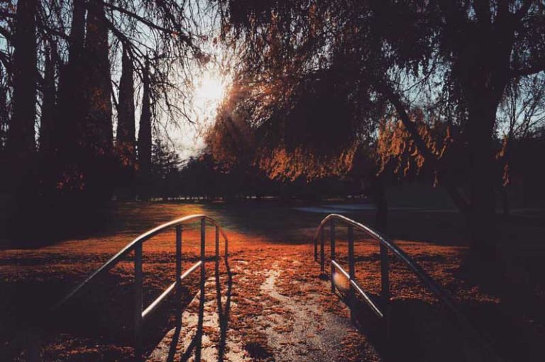 15 Best Things To Do in Madera, CA - The Tourist Checklist