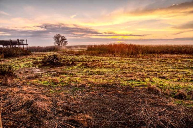 15 Top Things To Do in Los Banos, CA - The Tourist Checklist