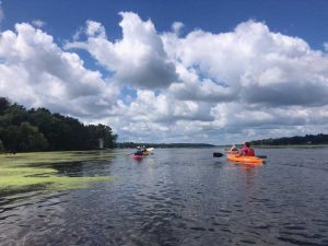 23 Best & Fun Things To Do in Buffalo (MN) - The Tourist Checklist