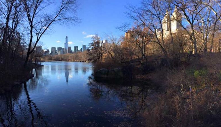 23 Best & Fun Things To Do in Oak Brook (IL) - The Tourist Checklist