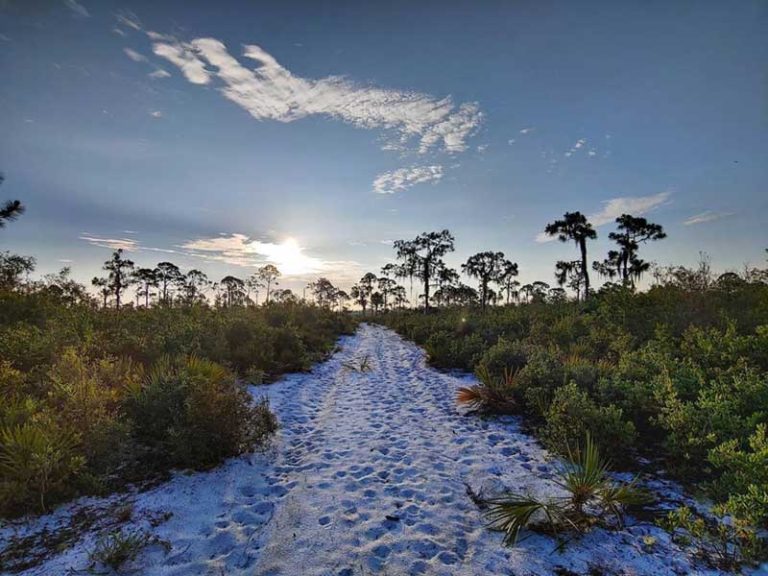 23 Best & Fun Things To Do in Lake Placid (FL) - The Tourist Checklist