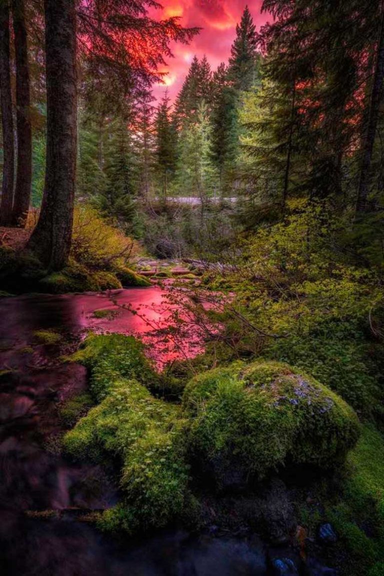The 15 Most Quiet Places In The World - The Tourist Checklist