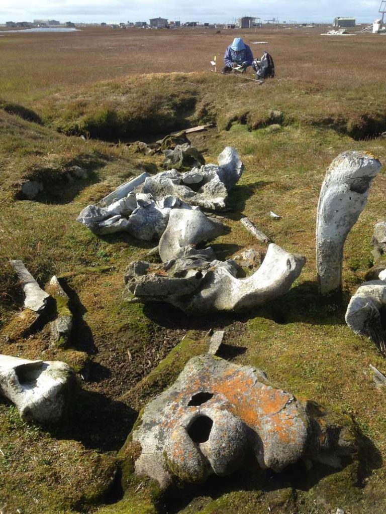 23 Best & Fun Things To Do in Utqiagvik (AK) - The Tourist Checklist