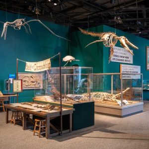 15 Best & Fun Places To Visit in Minnesota - The Tourist Checklist
