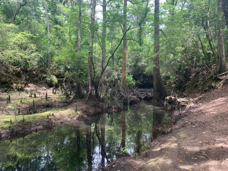 23 Best & Fun Things To Do in Monticello (FL) - The Tourist Checklist