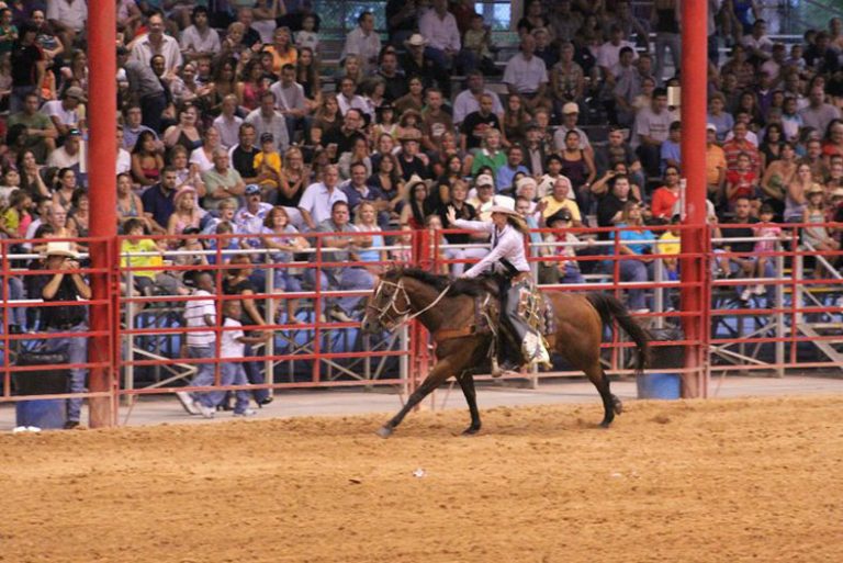 23 Best & Fun Things To Do in Davie (FL) - The Tourist Checklist