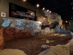 23 Best & Fun Things To Do in Springfield (MO) - The Tourist Checklist