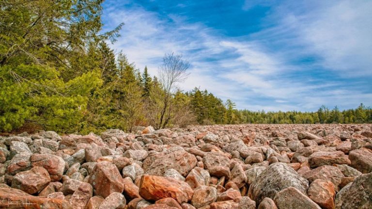 23 Best & Fun Things To Do in Blakeslee (PA) - The Tourist Checklist