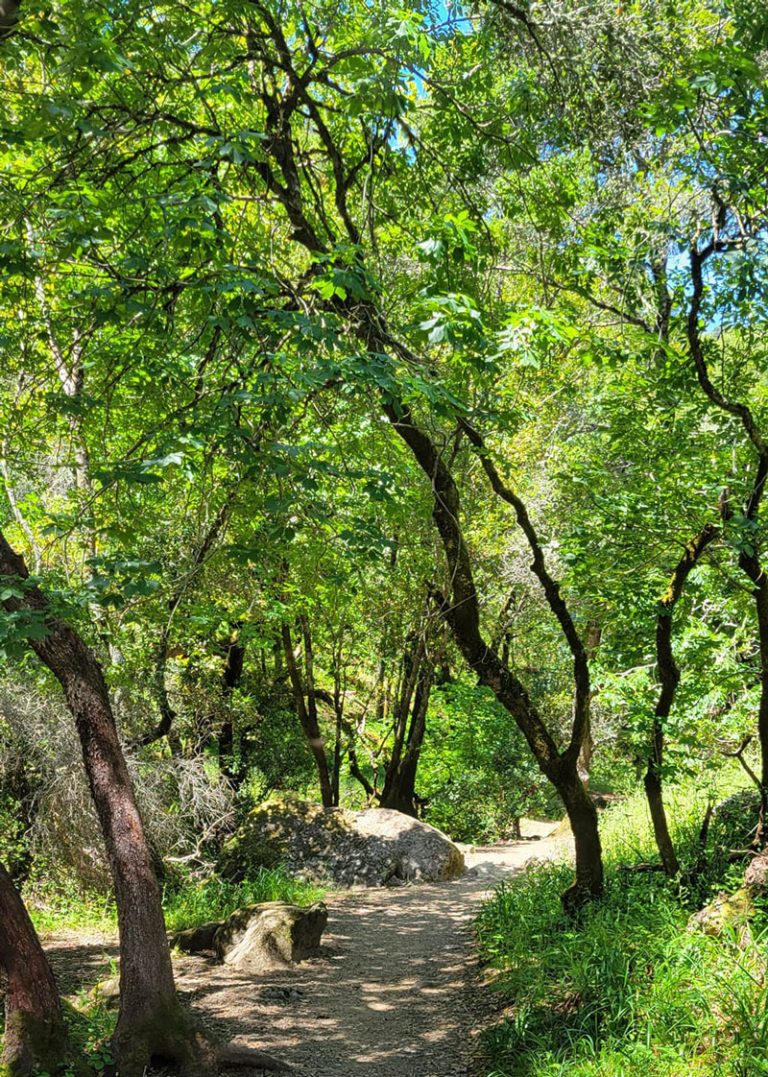 23 Best & Fun Things To Do in Novato (CA) - The Tourist Checklist
