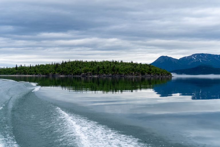 23 Best & Fun Things To Do in Silverdale (WA) - The Tourist Checklist