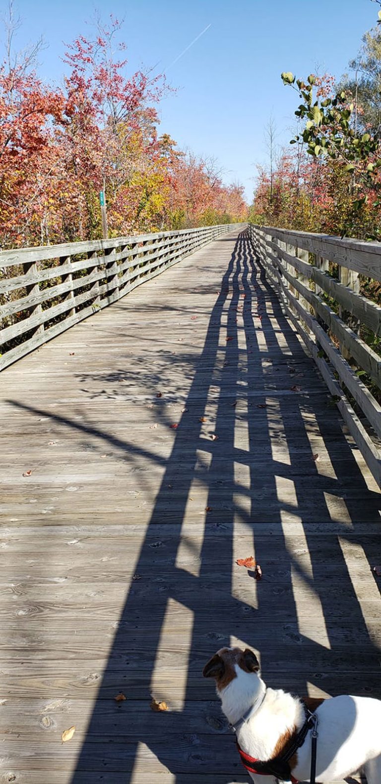 23 Best & Fun Things To Do in Grayling (MI) - The Tourist Checklist