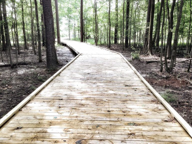 23 Best & Fun Things To Do in Davie (FL) - The Tourist Checklist