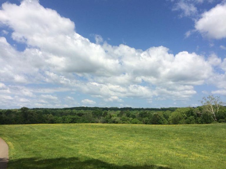 23 Best & Fun Things To Do in Greer (SC) - The Tourist Checklist