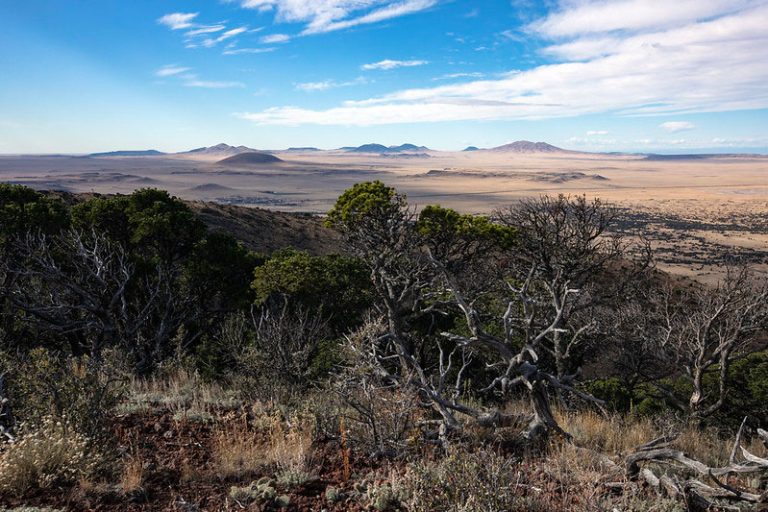23 Best & Fun Things To Do in Raton (NM) - The Tourist Checklist