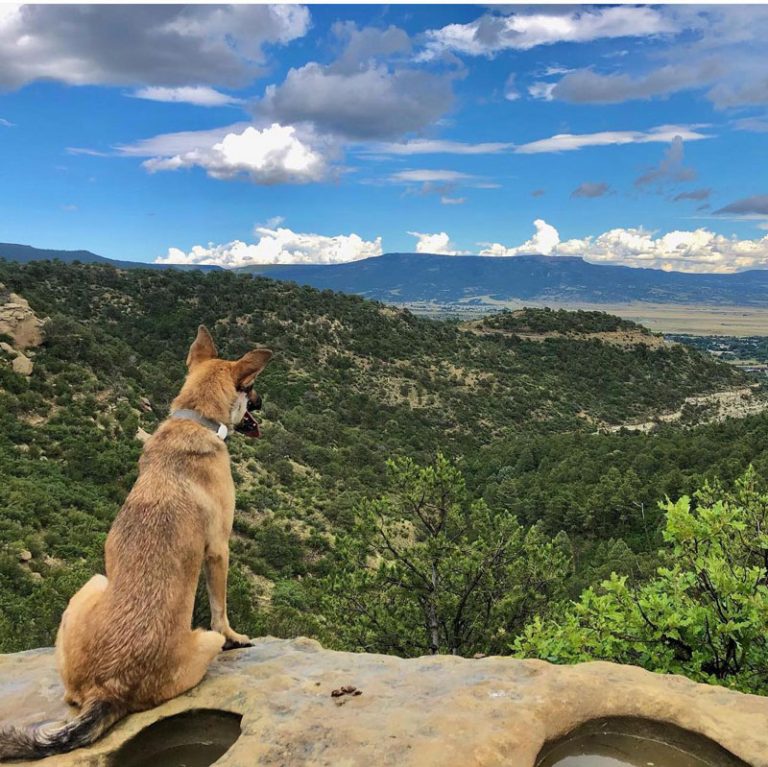 23 Best & Fun Things To Do in Raton (NM) - The Tourist Checklist