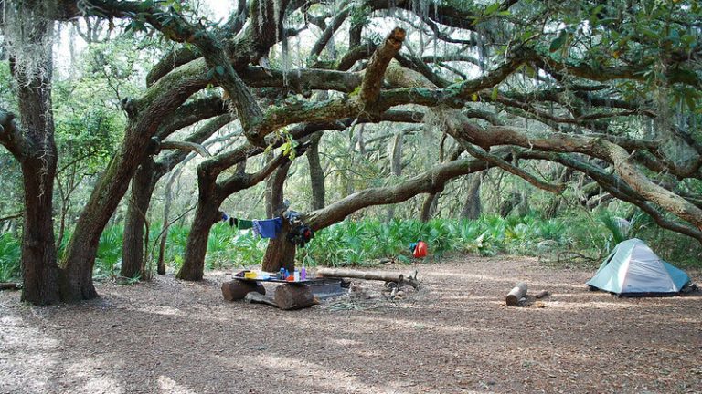 23 Best & Fun Things To Do in Kingsland (GA) - The Tourist Checklist