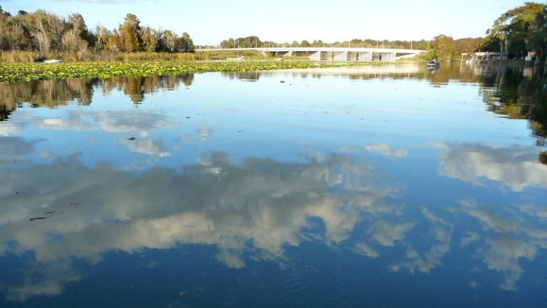 23 Best & Fun Things To Do in Tavares (FL) - The Tourist Checklist