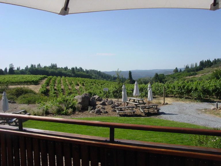 23 Best & Fun Things To Do in Placerville (CA) - The Tourist Checklist