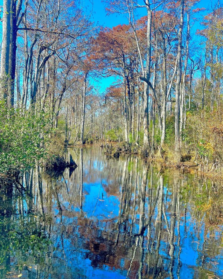 23 Best & Fun Things To Do in Calabash (NC) - The Tourist Checklist