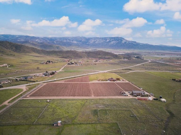 23 Best & Fun Things To Do in Tehachapi (CA) - The Tourist Checklist