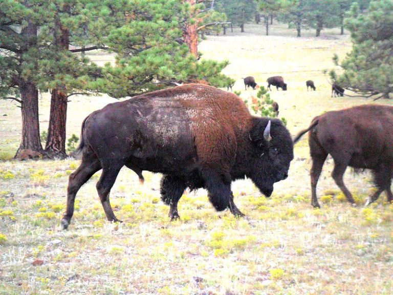 23 Best & Fun Things To Do in Raton (NM) - The Tourist Checklist