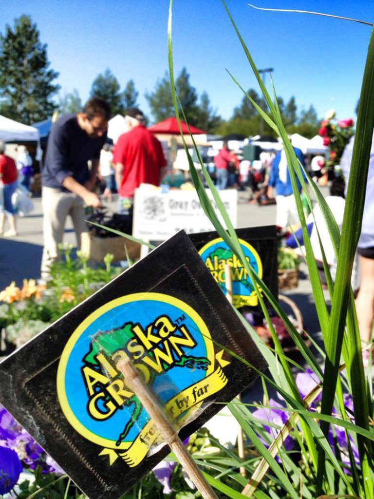 23 Best & Fun Things To Do in Wasilla (AK) - The Tourist Checklist