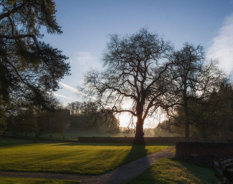 23 Best & Fun Things To Do in Tavares (FL) - The Tourist Checklist