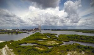 23 Best & Fun Things To Do in Apollo Beach (FL) - The Tourist Checklist