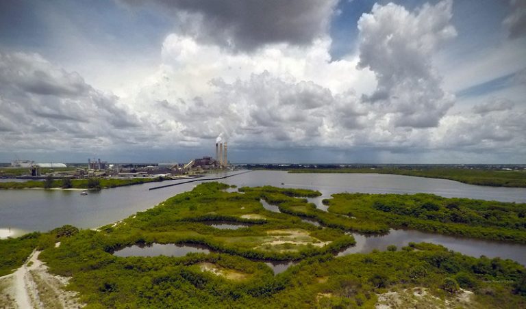23 Best & Fun Things To Do in Apollo Beach (FL) - The Tourist Checklist