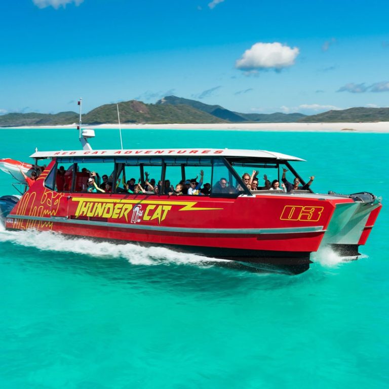 23 Best & Fun Things To Do in Tavares (FL) - The Tourist Checklist