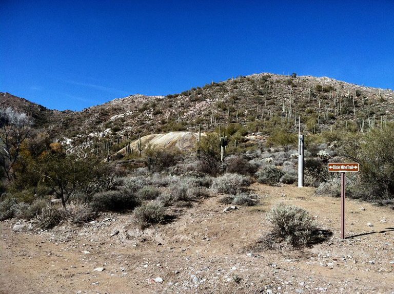 23 Best & Fun Things To Fountain Hills (AZ) - The Tourist Checklist